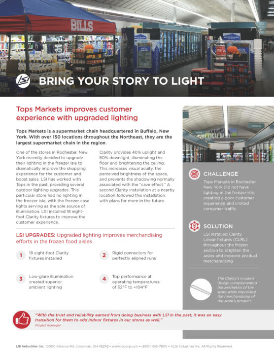 Project Spotlights – LSI Portal